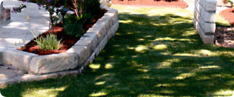 Cut-Rite Lawn Management | Lawn Care | San Antonio, TX