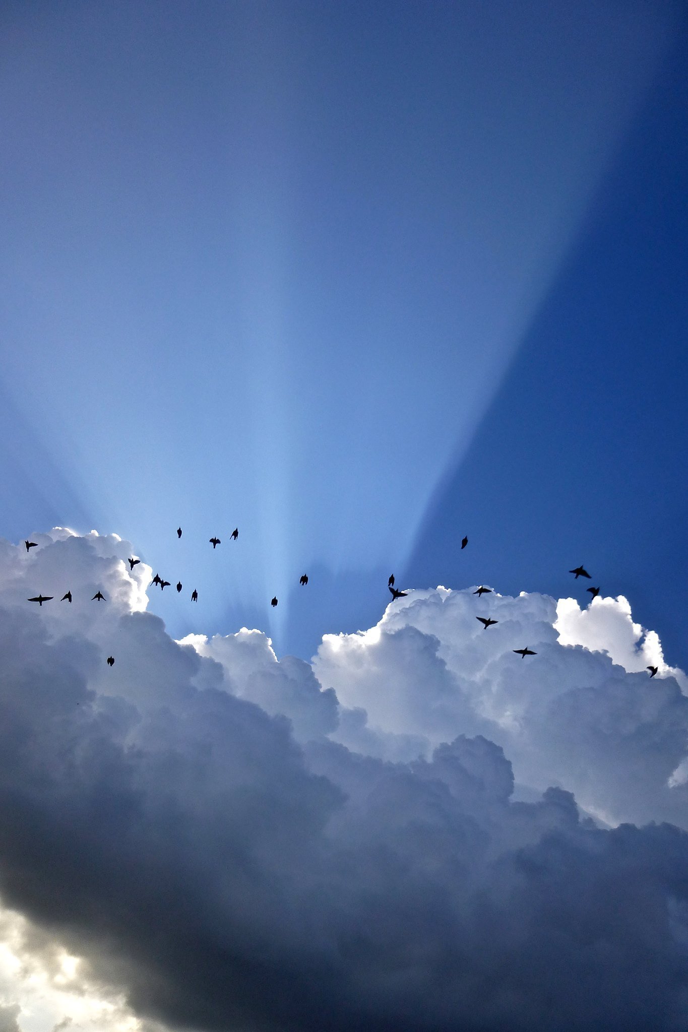 Healthy Couples Blog | Tucson, AZ