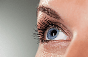 Eagle Eye Optique | Eye Care | Crown Point, IN