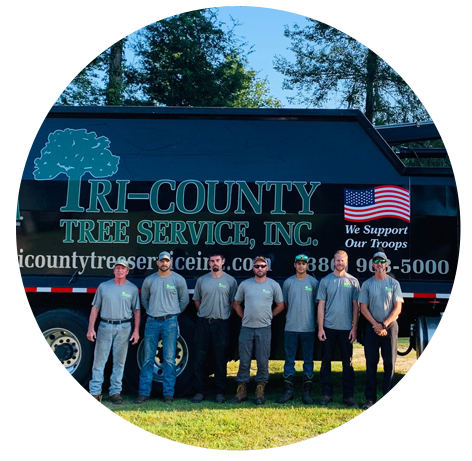 Tri-County Tree Service, Inc. | Tree Services | Lake City, FL