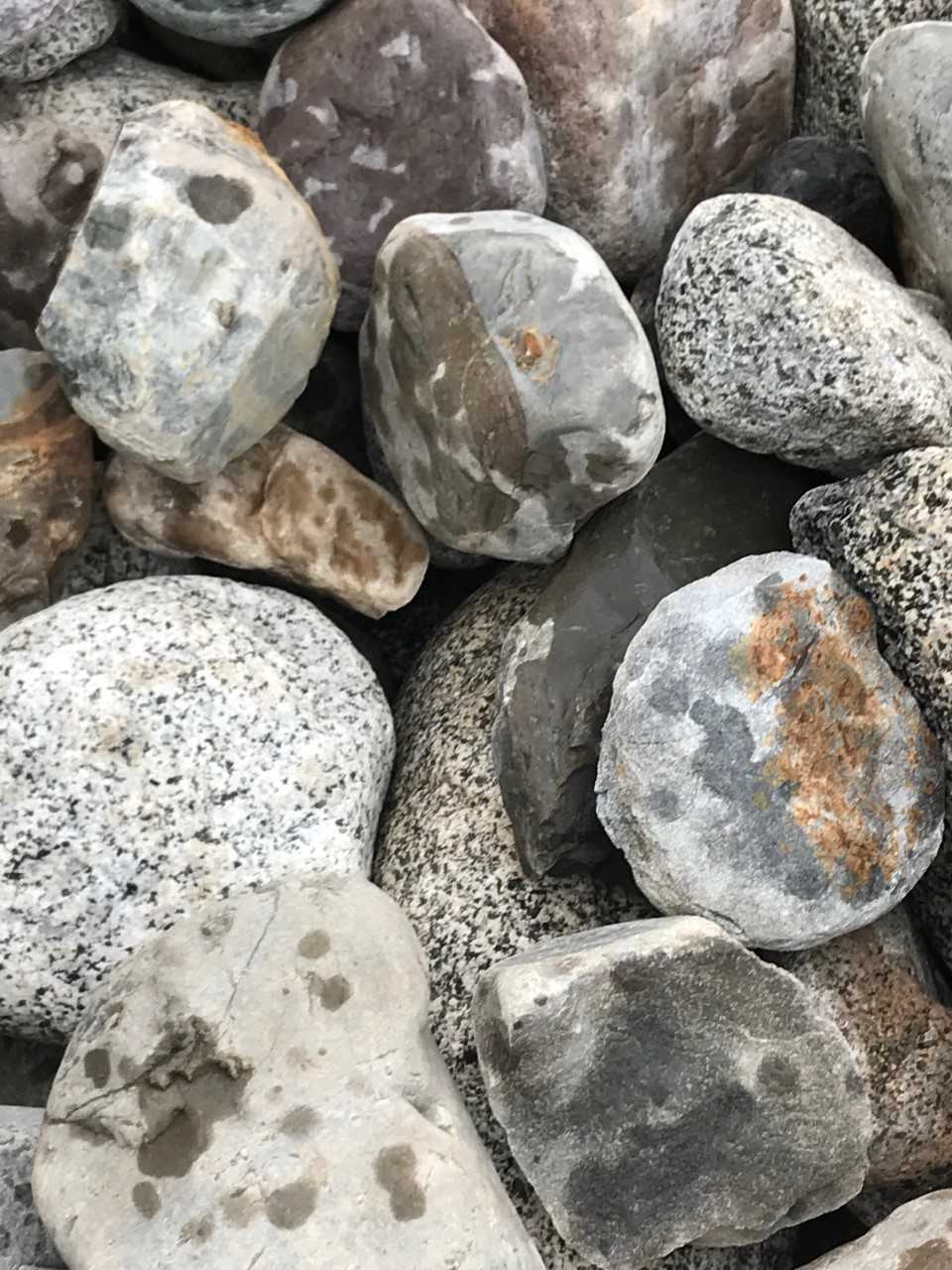 Rounded Rock | River Rock | Hayden, ID