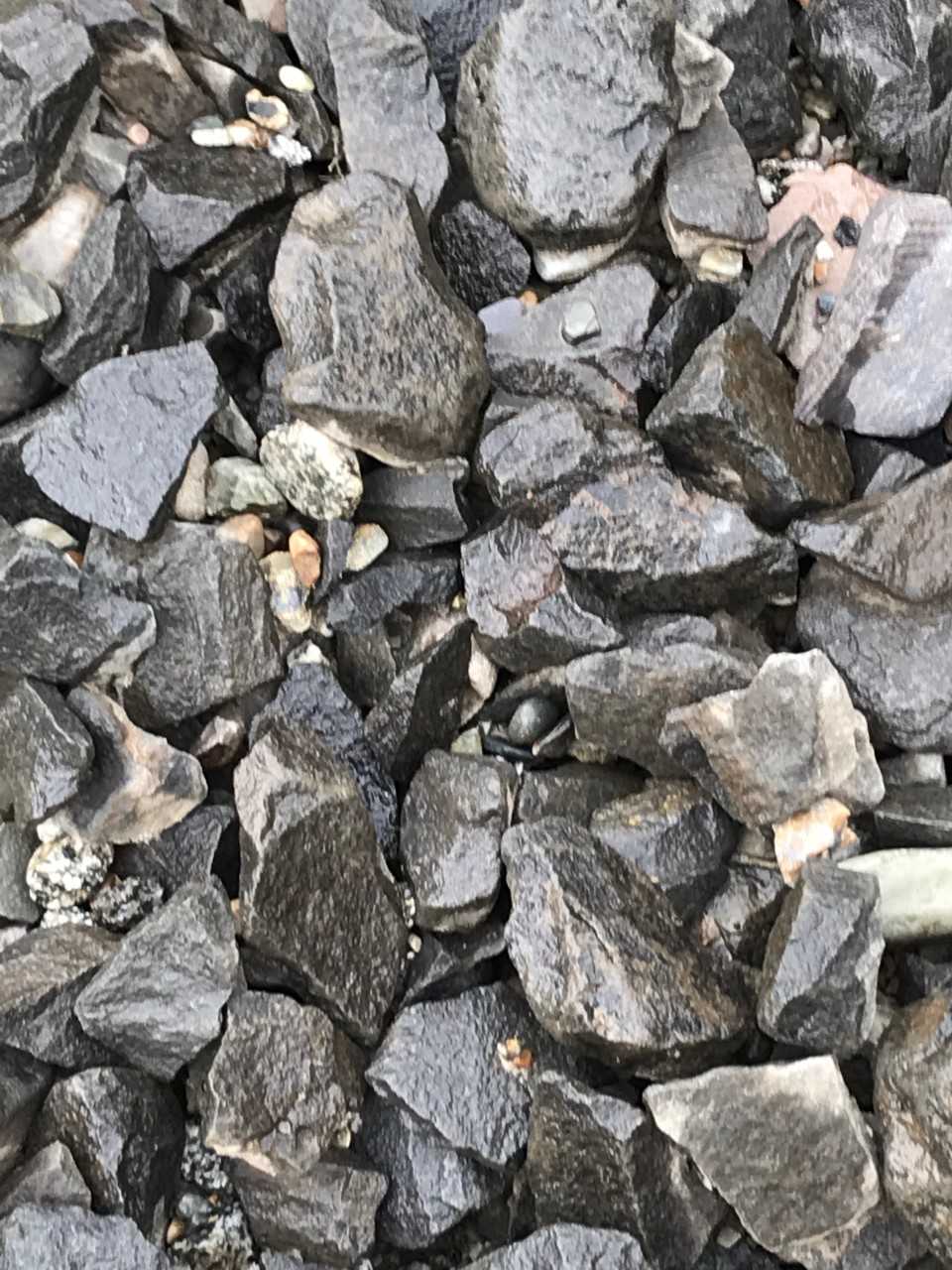 Crushed Rock | Basalt | Hayden, ID