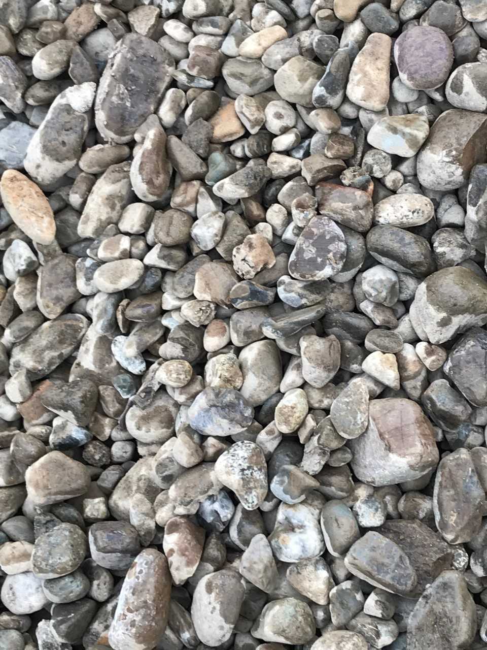 Rounded Rock | River Rock | Hayden, ID