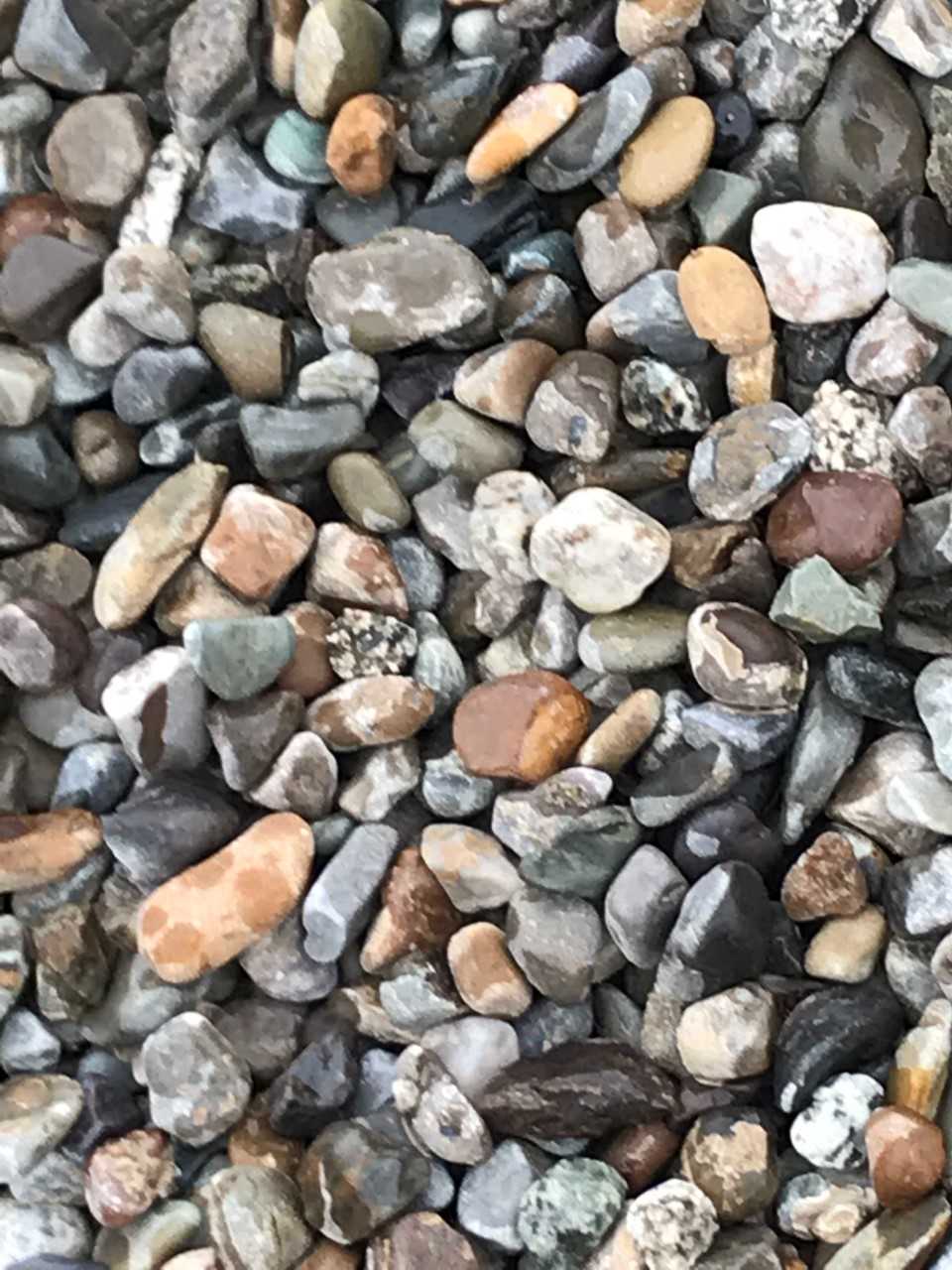 Rounded Rock | River Rock | Hayden, ID