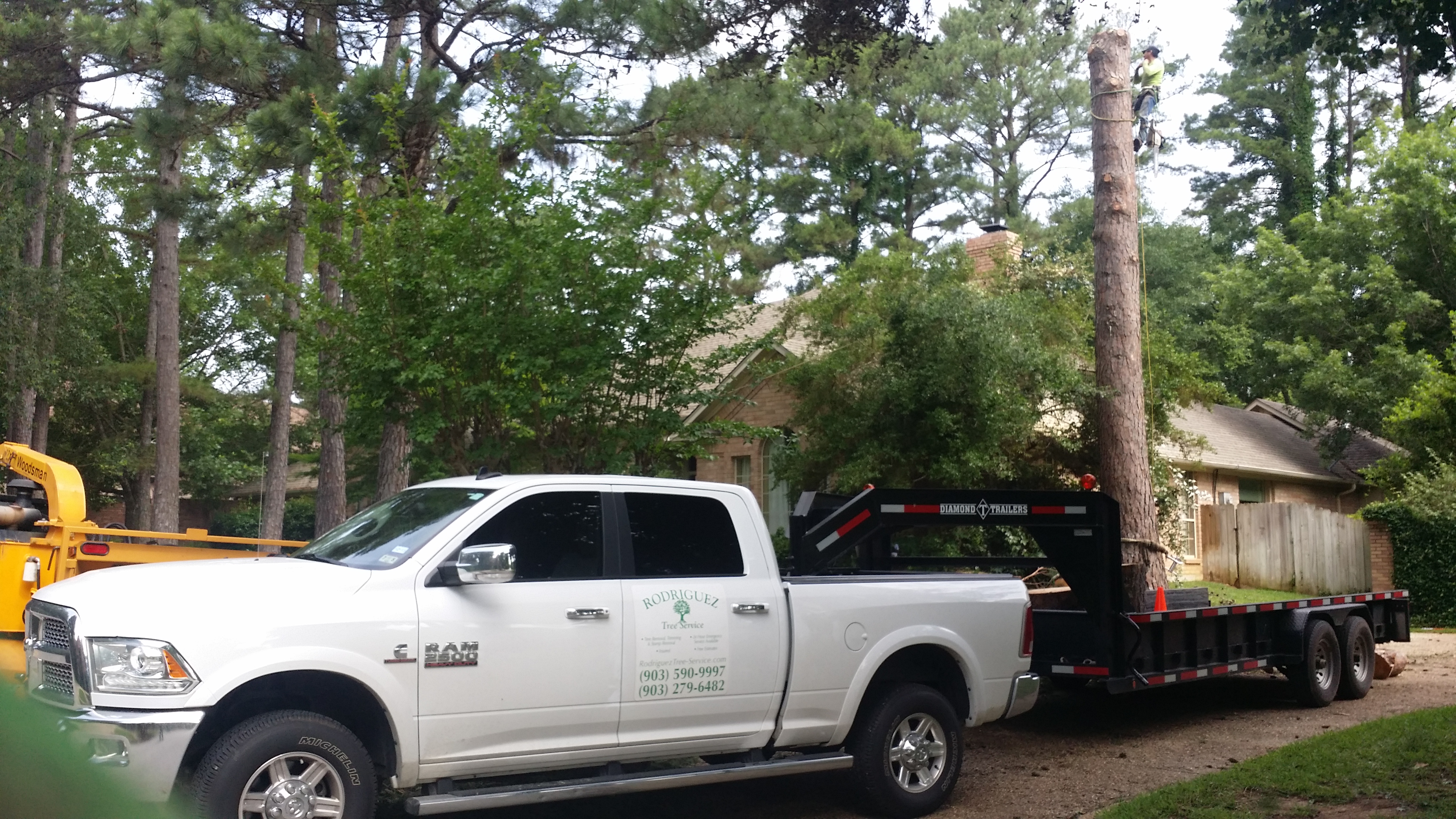Rodriguez Tree Service Photo Gallery | Tyler, TX