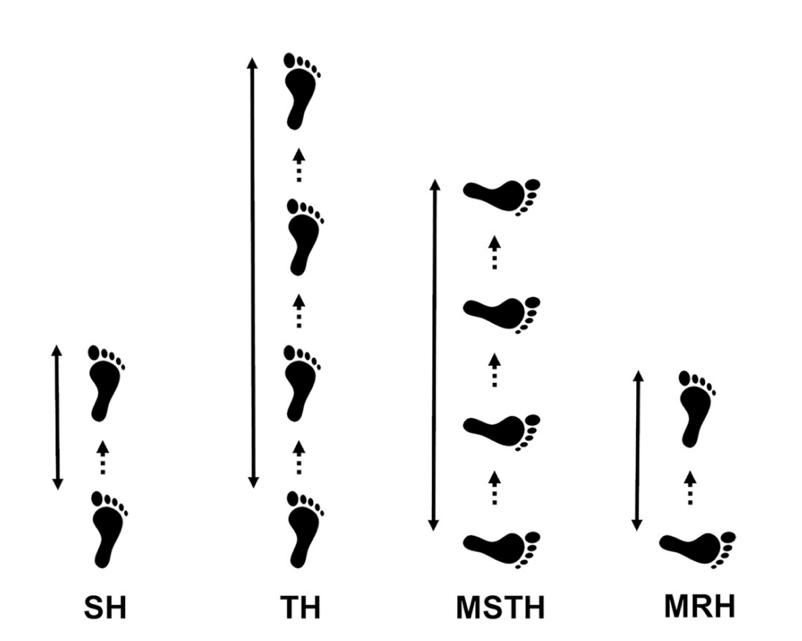 A New Approach for Return to Sport Testing of the ACL Athlete