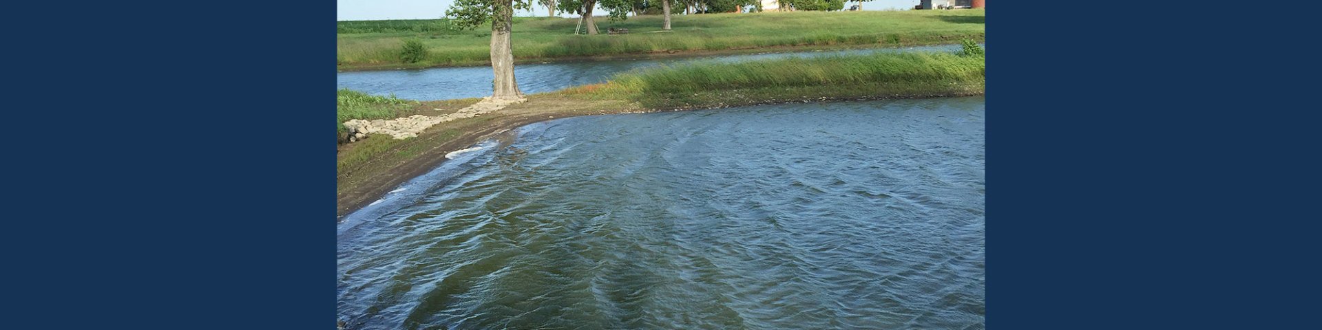 Wallace Fish Farm | Fish Species | Allen, KS