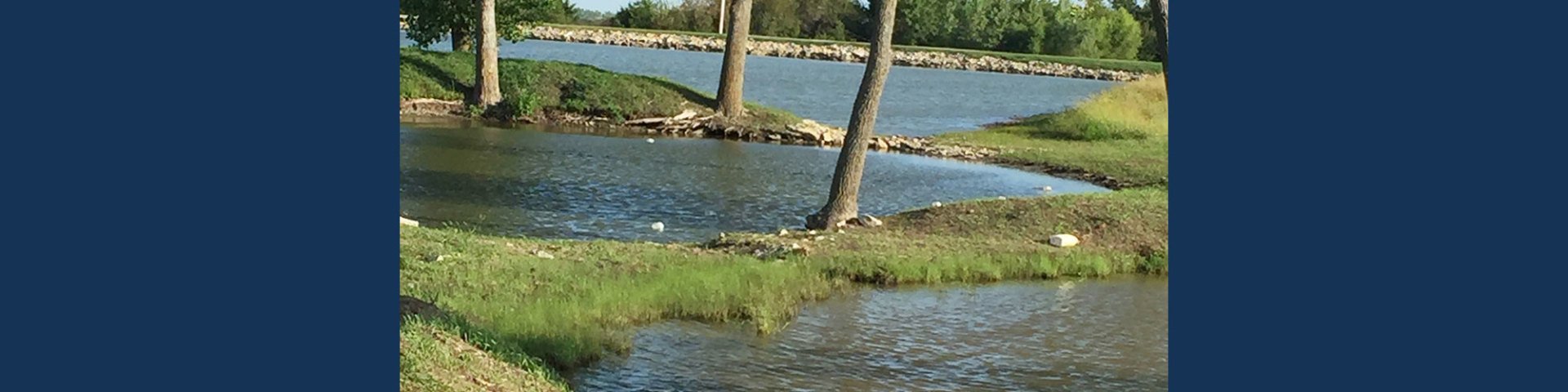 Wallace Fish Farm | Fish Species | Allen, KS