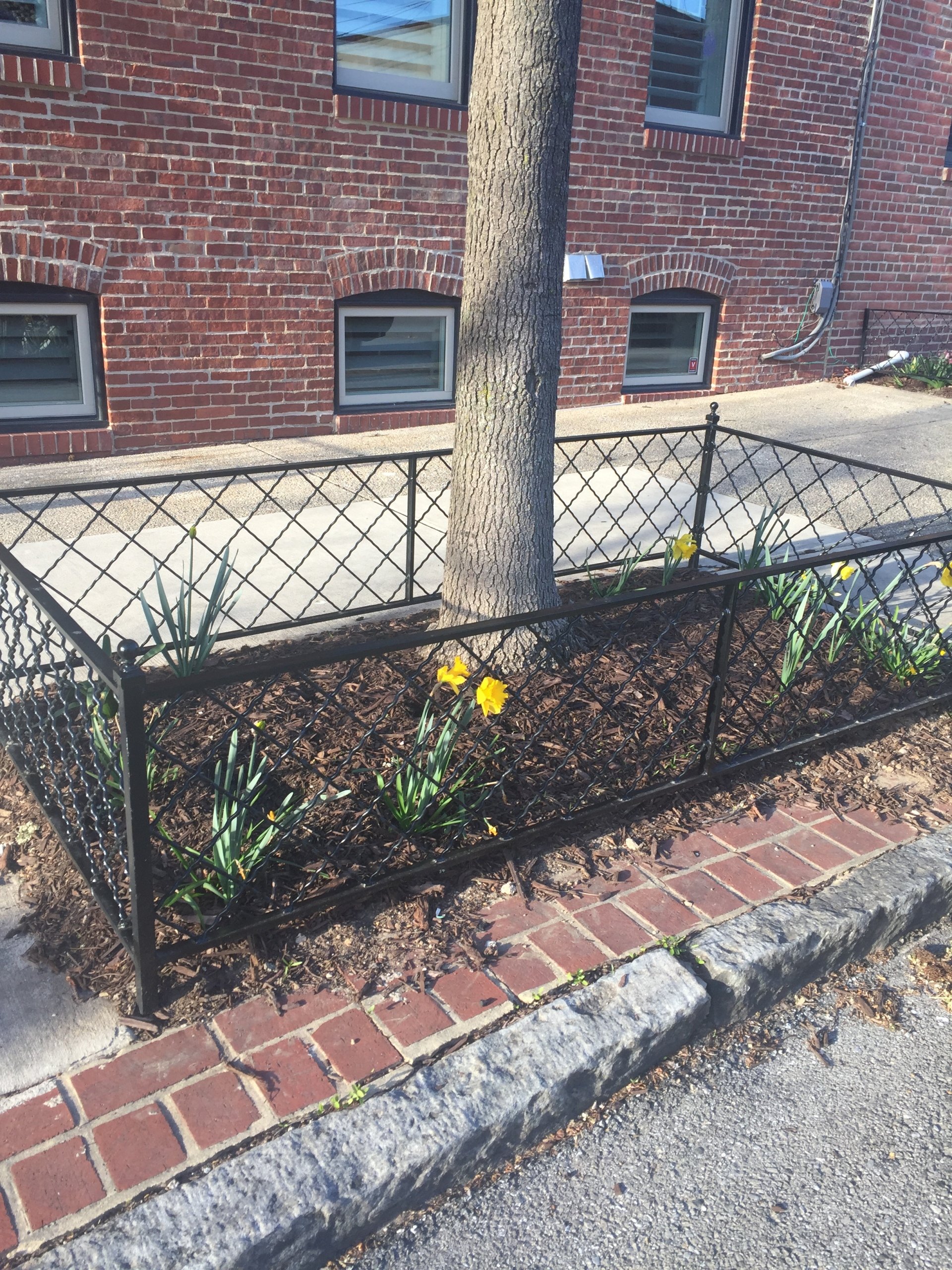 Iron Fencing Design Parkville, MD | Wrought & Ornamental Fencing ...