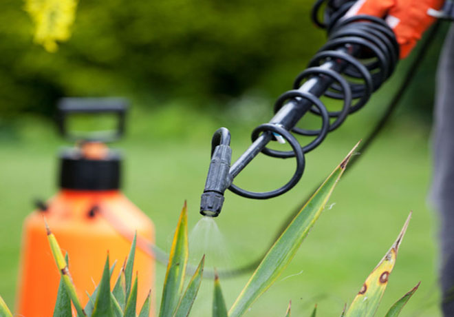Lawn Chemical Application | Herbicides | Athens, TX
