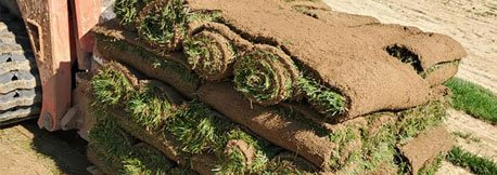 Green Sod | Sod Sales and Installation | Smyrna, TN