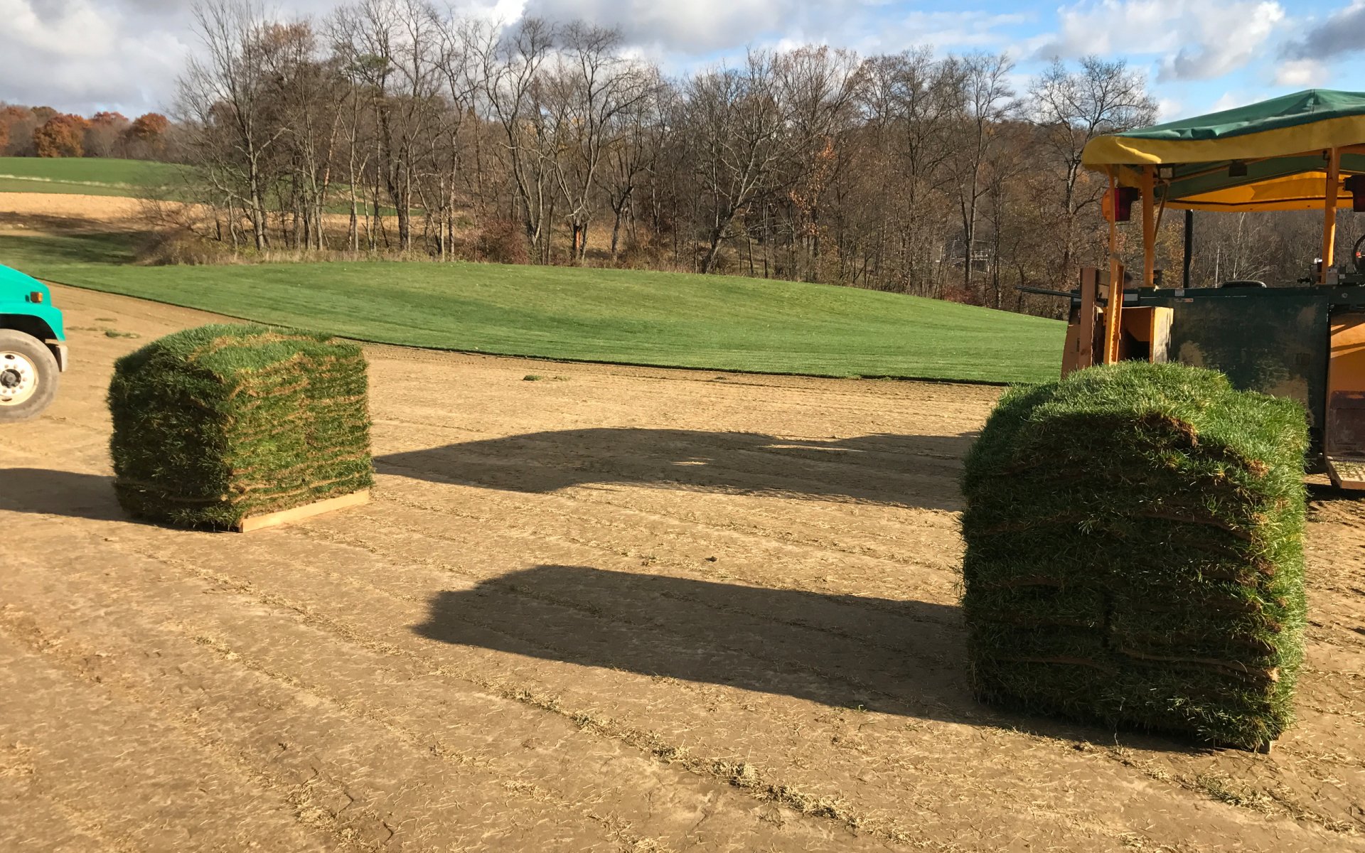 Reddi Green Turf Farms | Sod | Evans City, PA