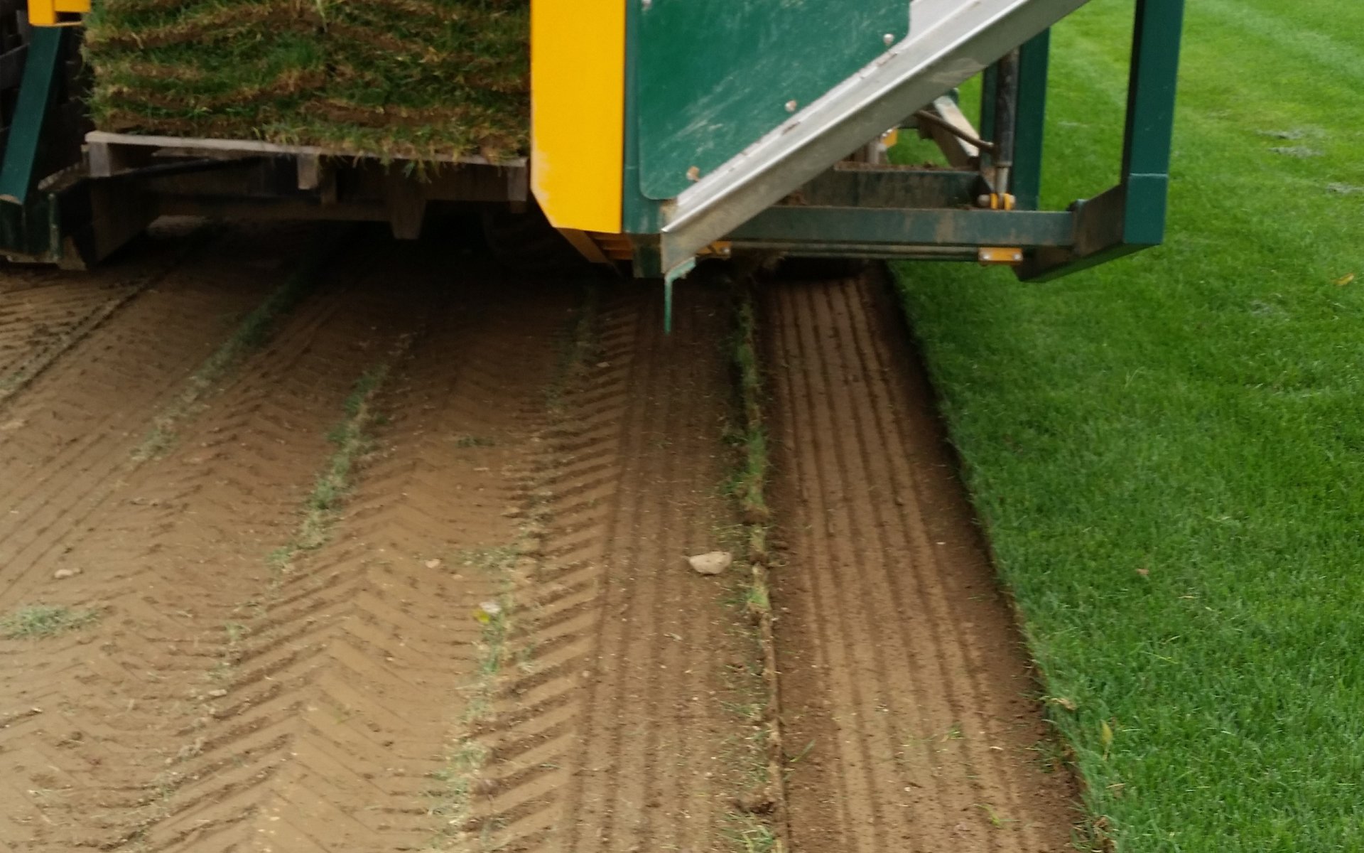 Reddi Green Turf Farms | Sod | Evans City, PA