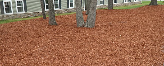 Colored Mulches and Landscaping Products | Bemidji, MN