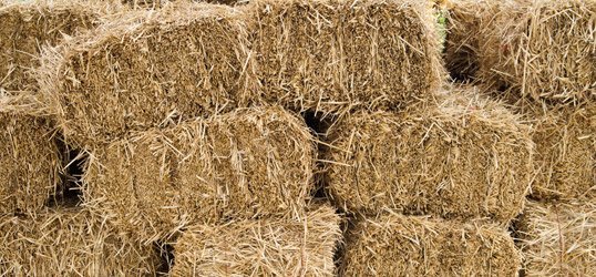 Alfalfa Hay Feed | Wheat Round Bales | Sarcoxie, MO