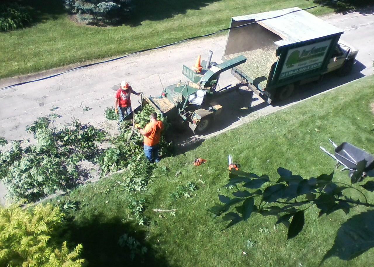 Randy Flodeen Four Seasons Tree Service | Tree Removal | Evansdale, IA