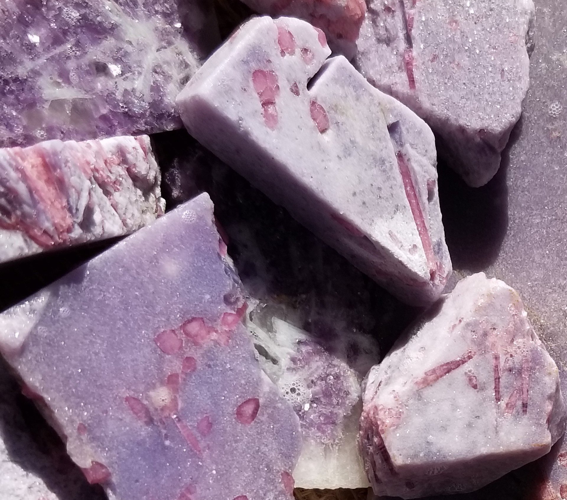 Gems of Pala Blog | Pala, CA