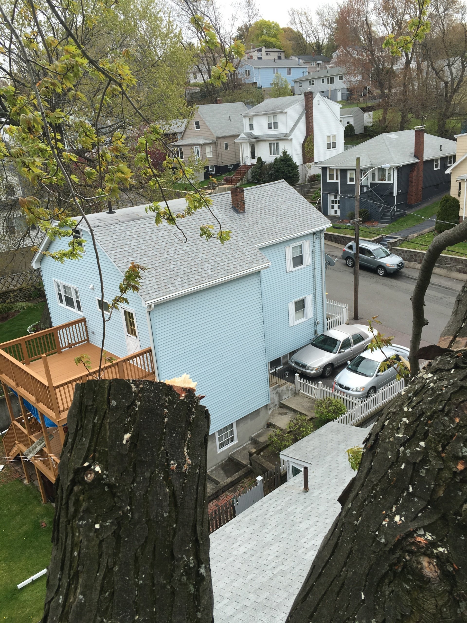 Whitcomb Tree Service Photo Gallery | Peabody, MA