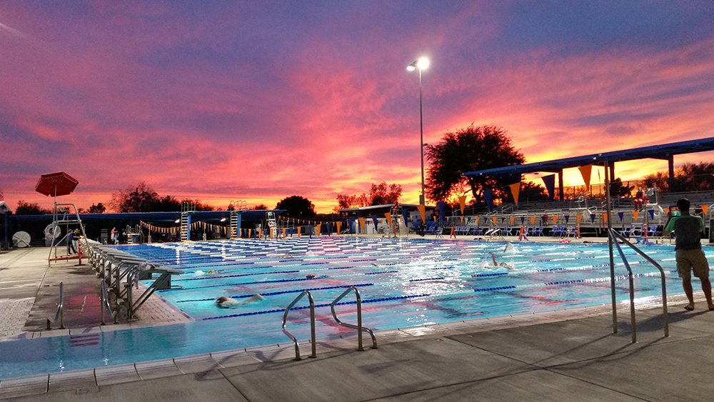 Swim | Swim Suits and Equipment | Champion Pool and Spa Supply ...