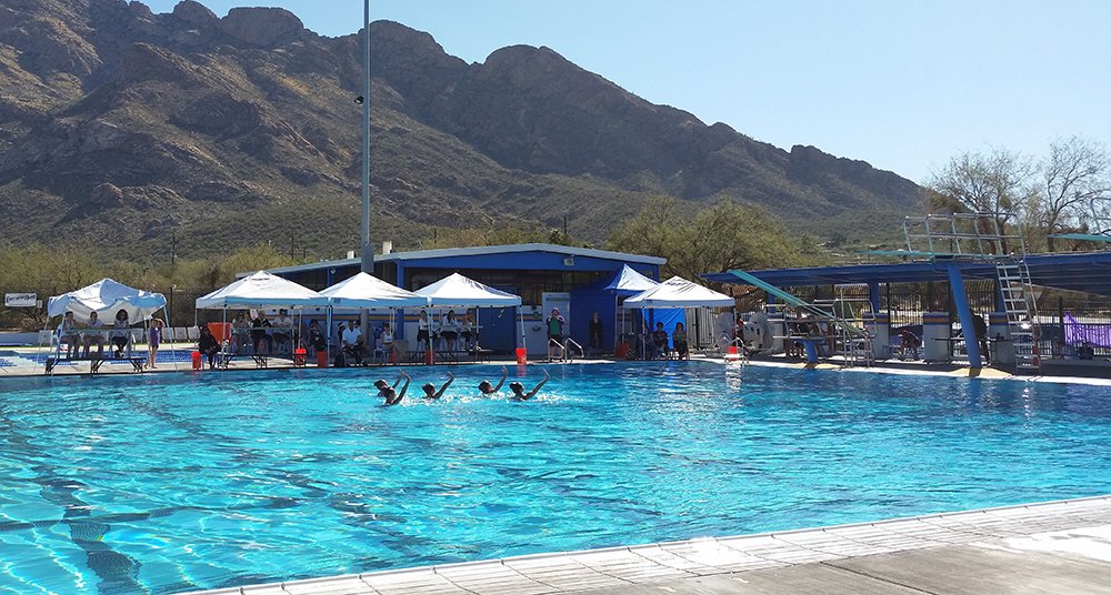 Swim | Swim Suits and Equipment | Champion Pool and Spa Supply ...