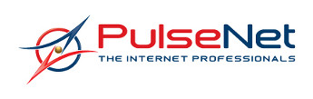 PulseNet Inc. | Internet Security | Washington, PA