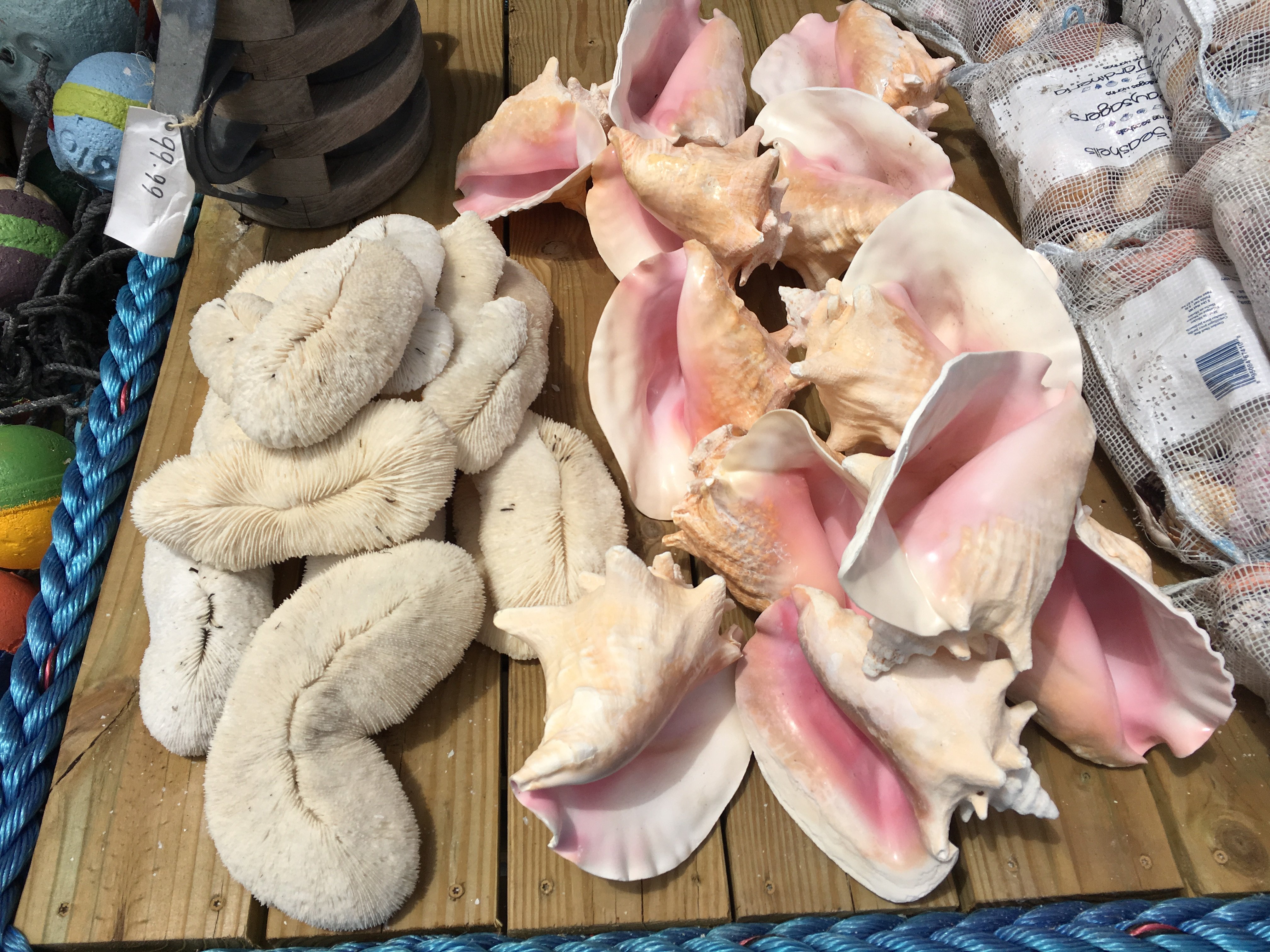 Shore House Coastal Décor | Home Décor & Gifts | Seaside Heights, NJ