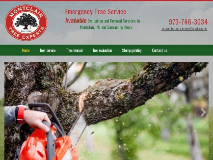 Montclair Tree Experts - Tree Service & Removal in Upper Montclair ...